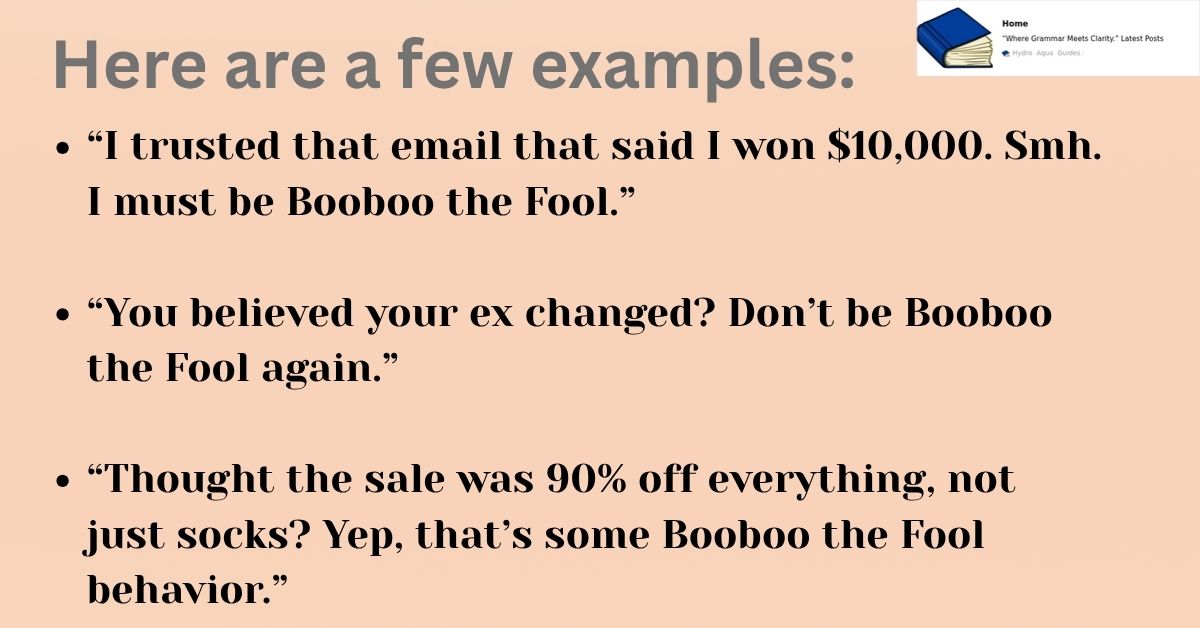 "Booboo The Fool" Its Meaning, Origin, and Usage - Hydro Aqua Guides