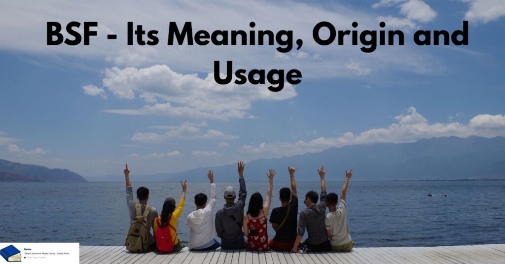 BSF - Its Meaning, Origin and Usage - Hydro Aqua Guides
