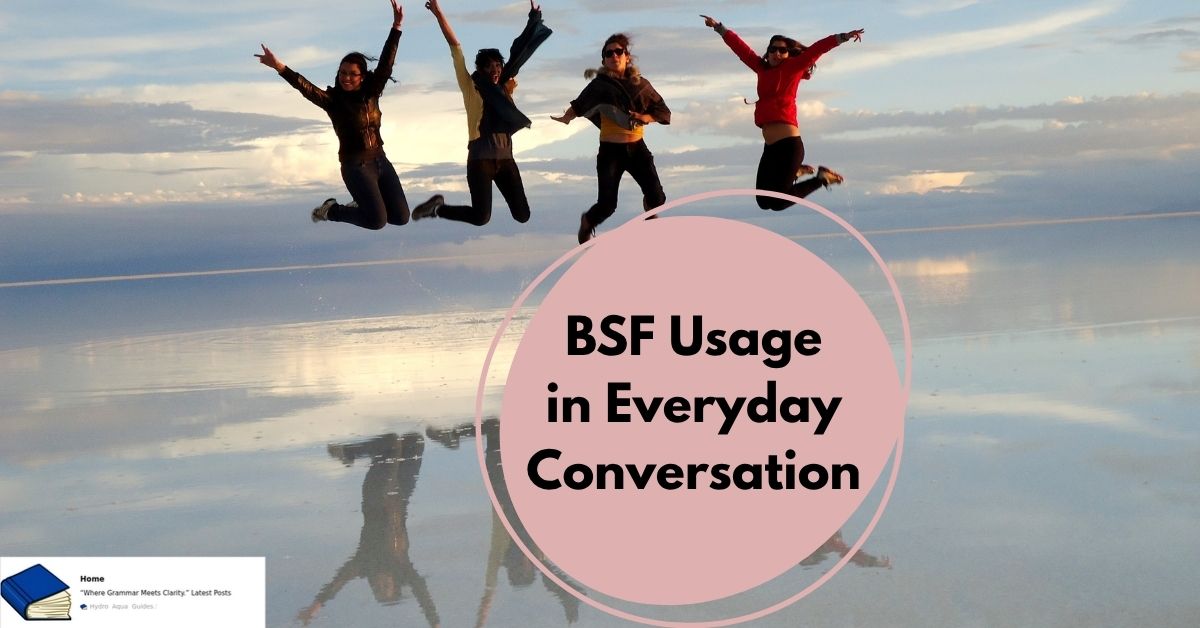 BSF - Its Meaning, Origin and Usage - Hydro Aqua Guides